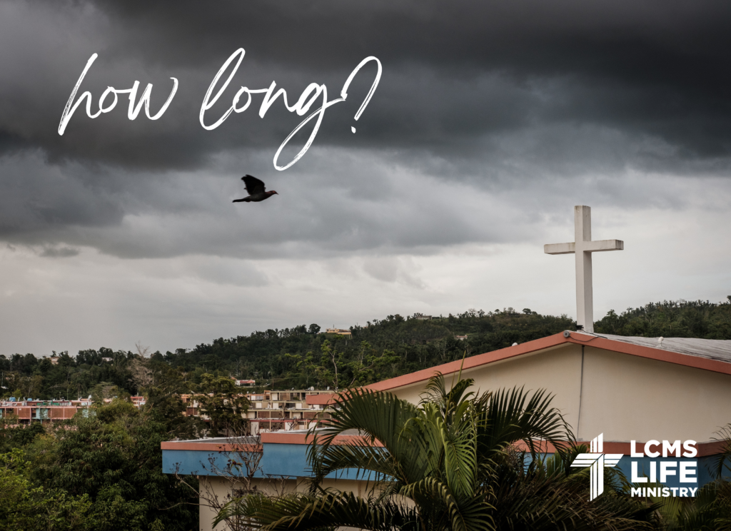 How Long? - Life Ministry